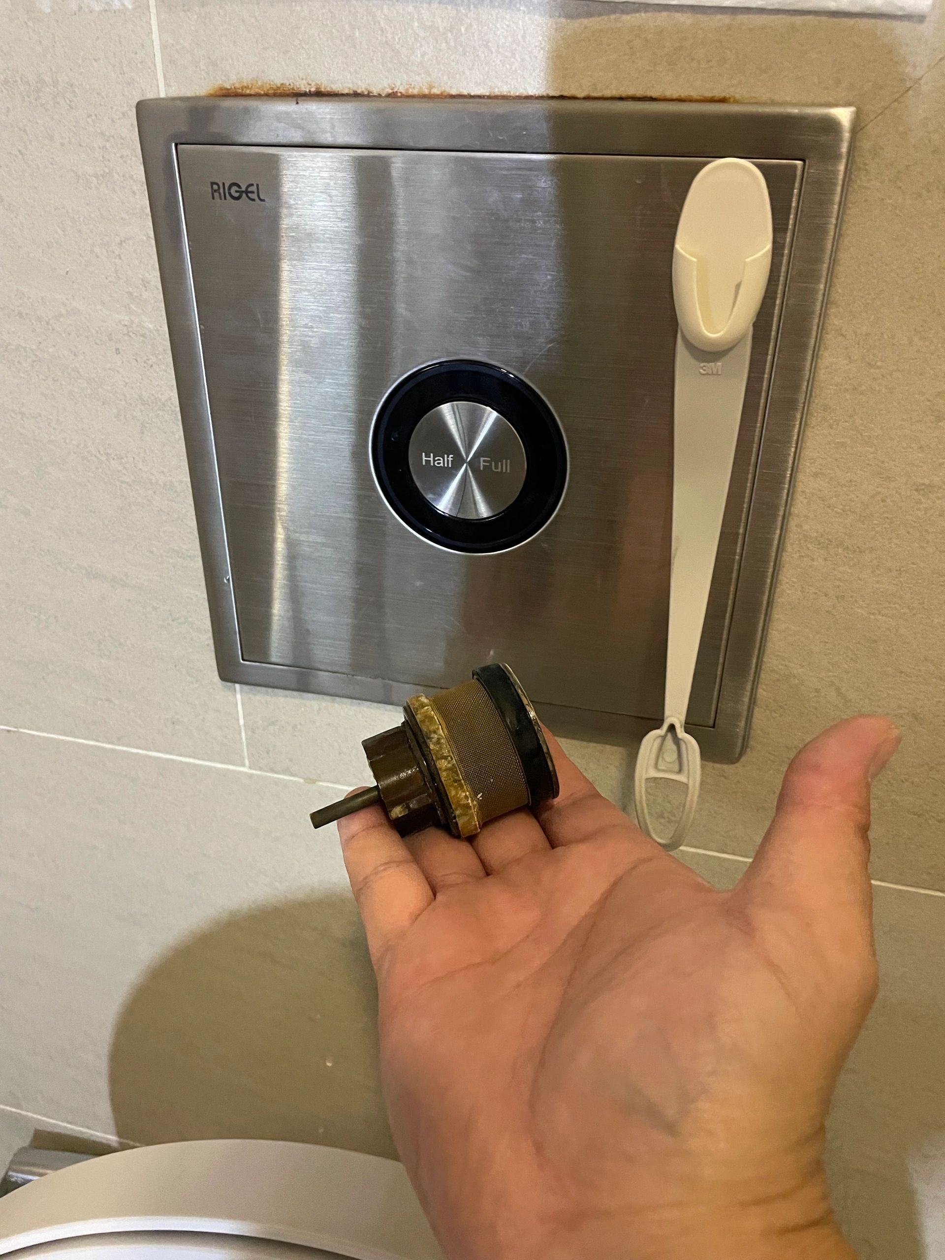 Rigel Sensor Flush Repair Singapore