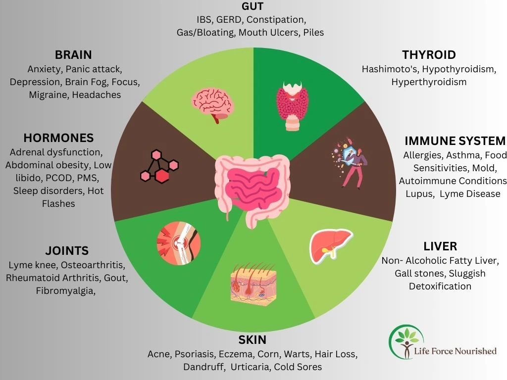 WHY GUT HEALTH MATTERS?