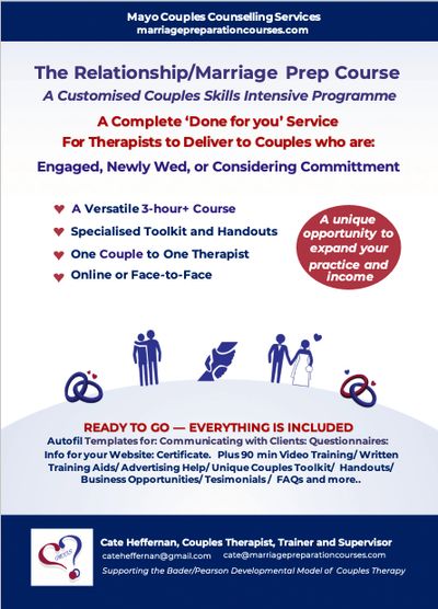 The Relationship/Marriage Prep Course Service Package