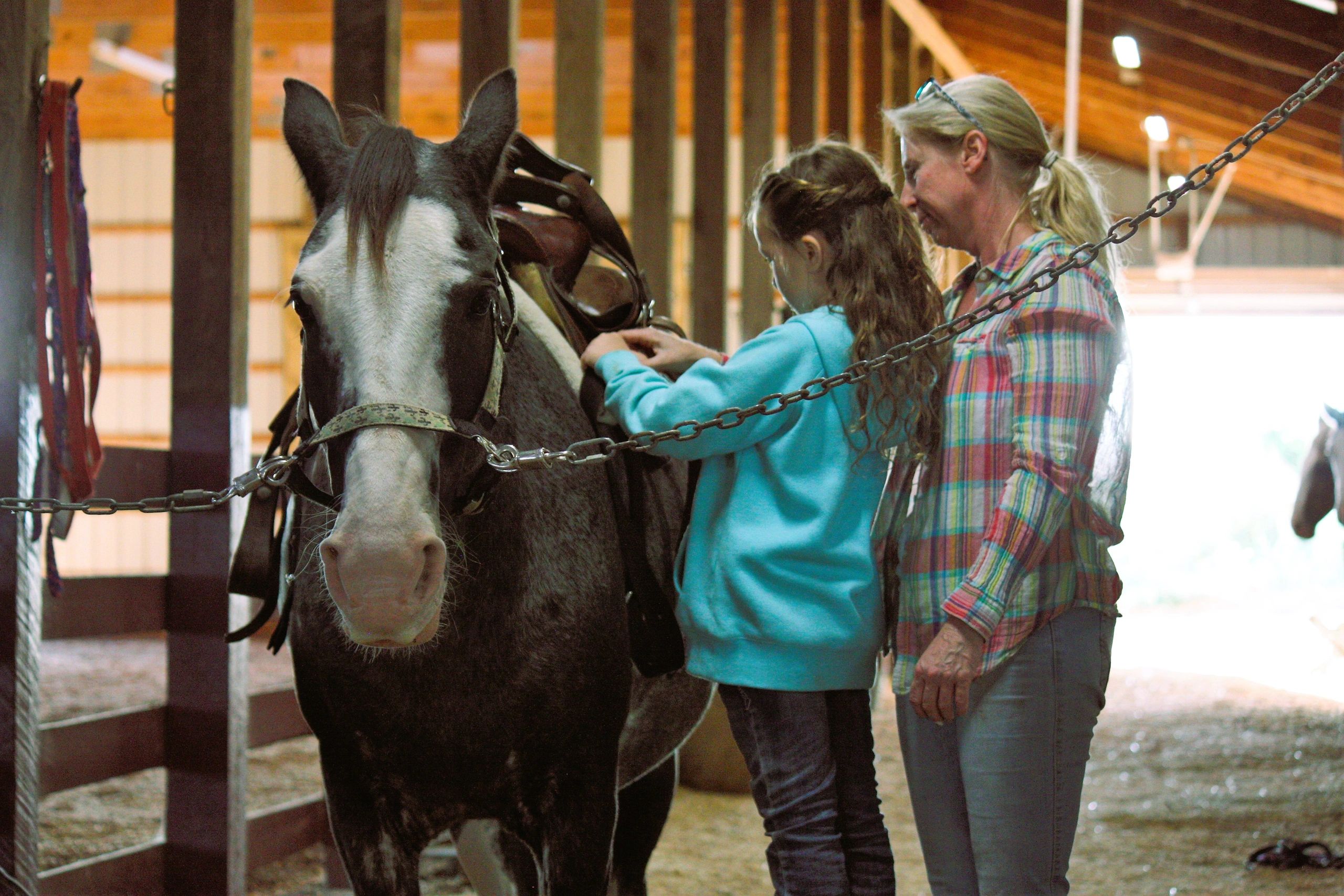 Twisted Arena - Horse Riding Lessons, Trick Riding Lessons