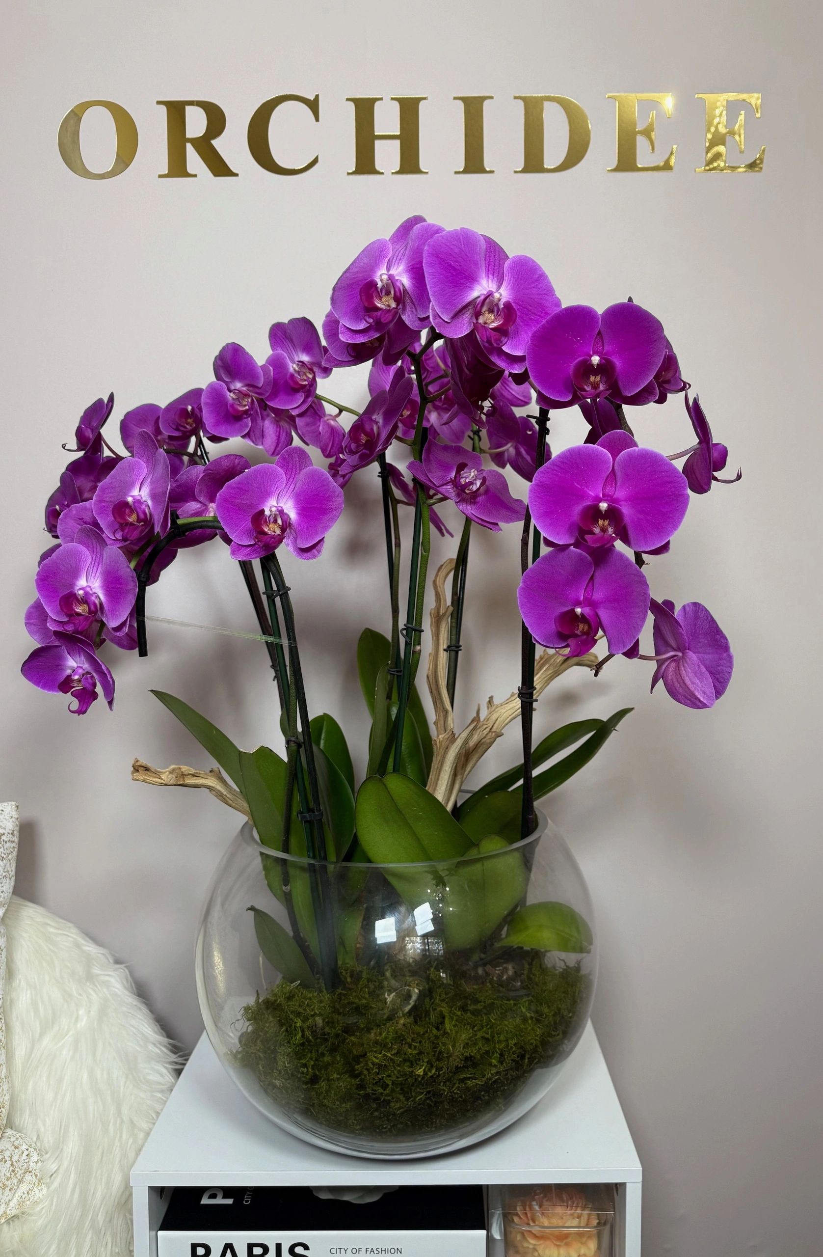 Orchids - Orchidée (The Art of Orchid Design)