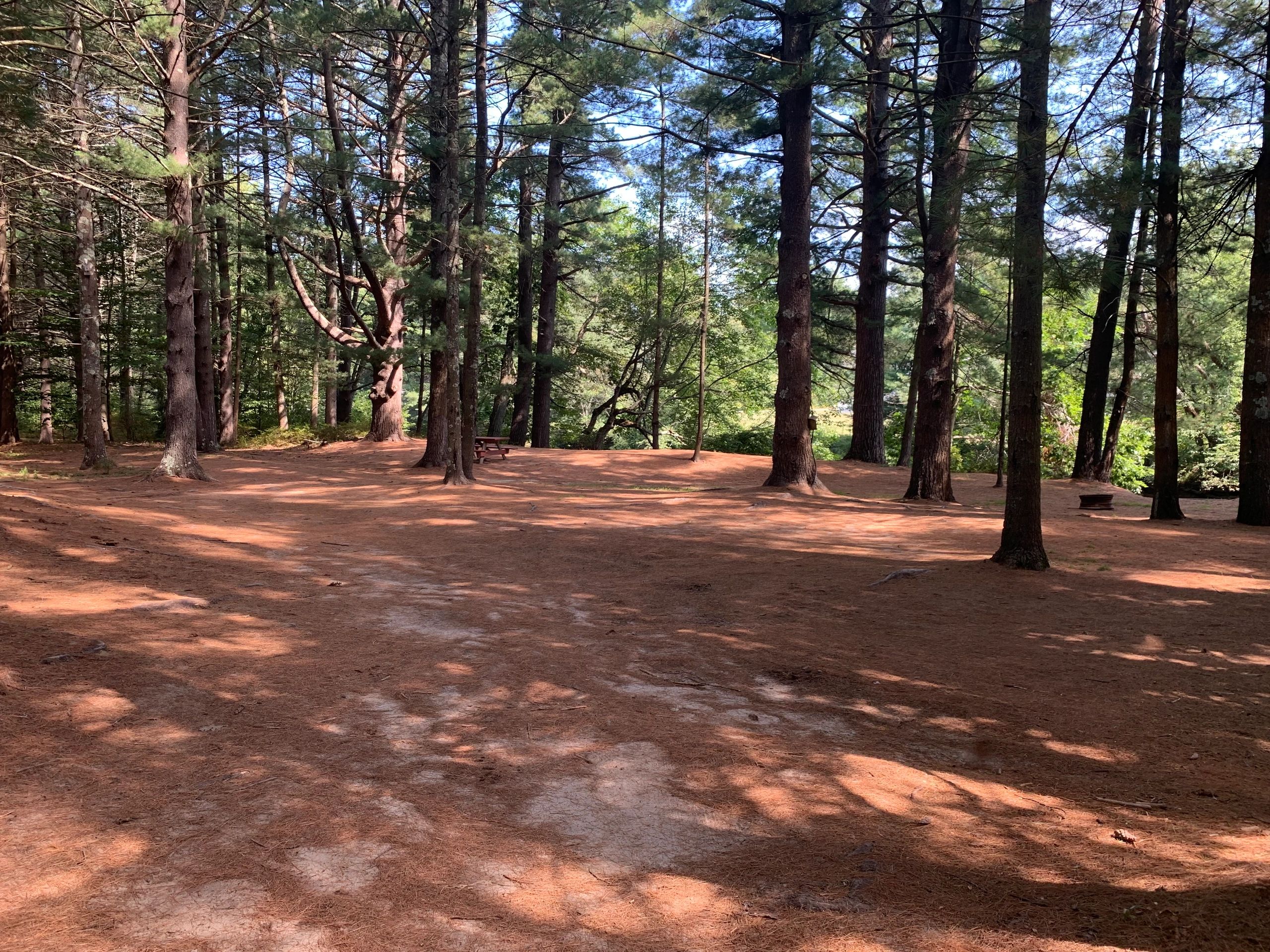 Camping - Epsom Valley Campground