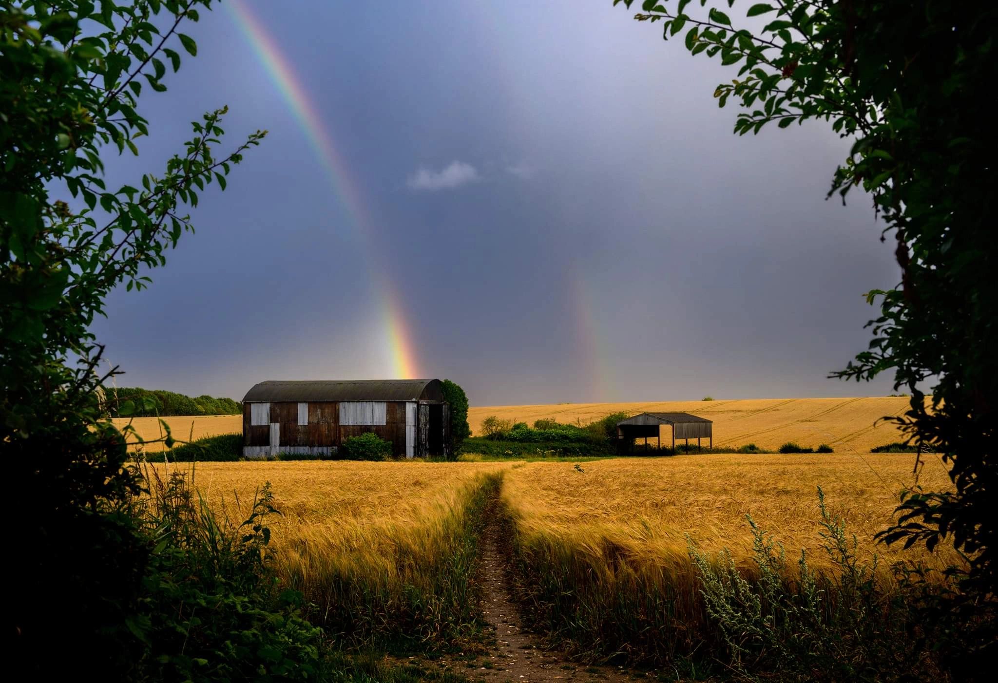 About Us | South Wonston Sustainability