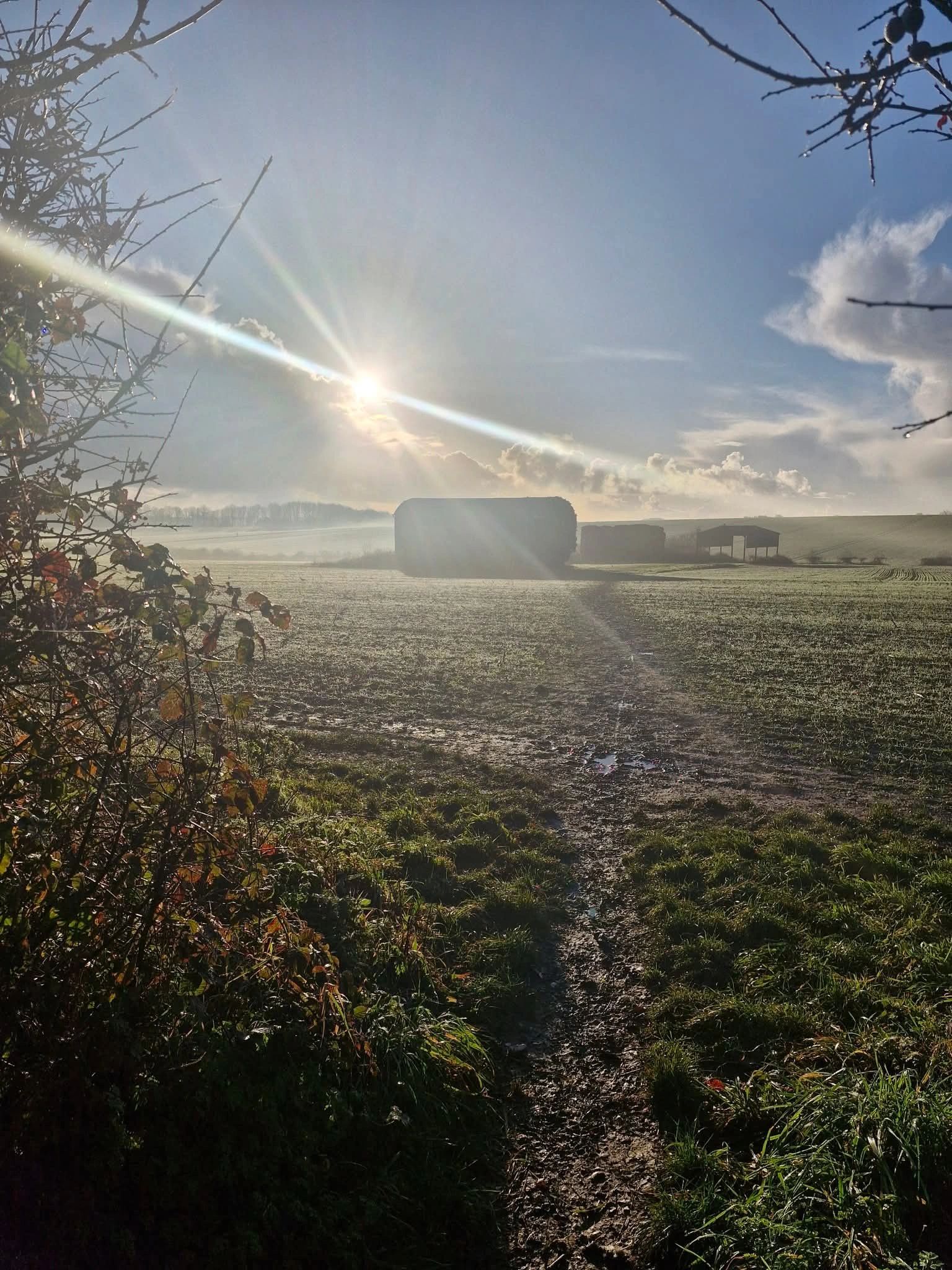 South Wonston Sustainability