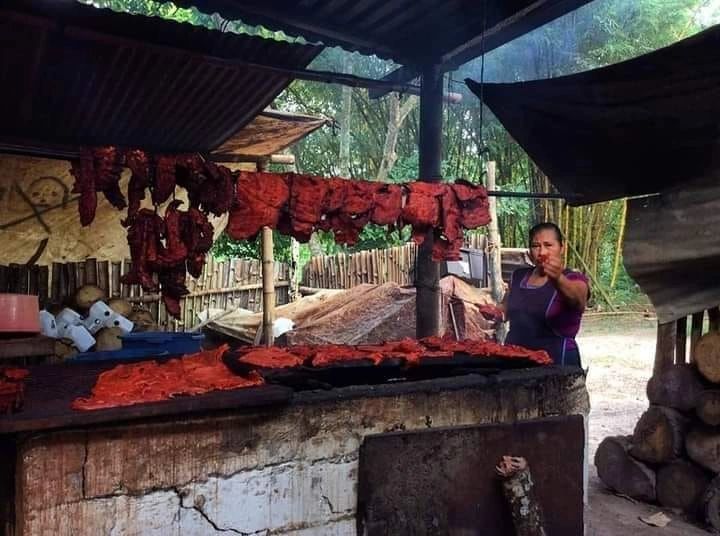HISTORIA DE LA CARNE DE CHINAMECA