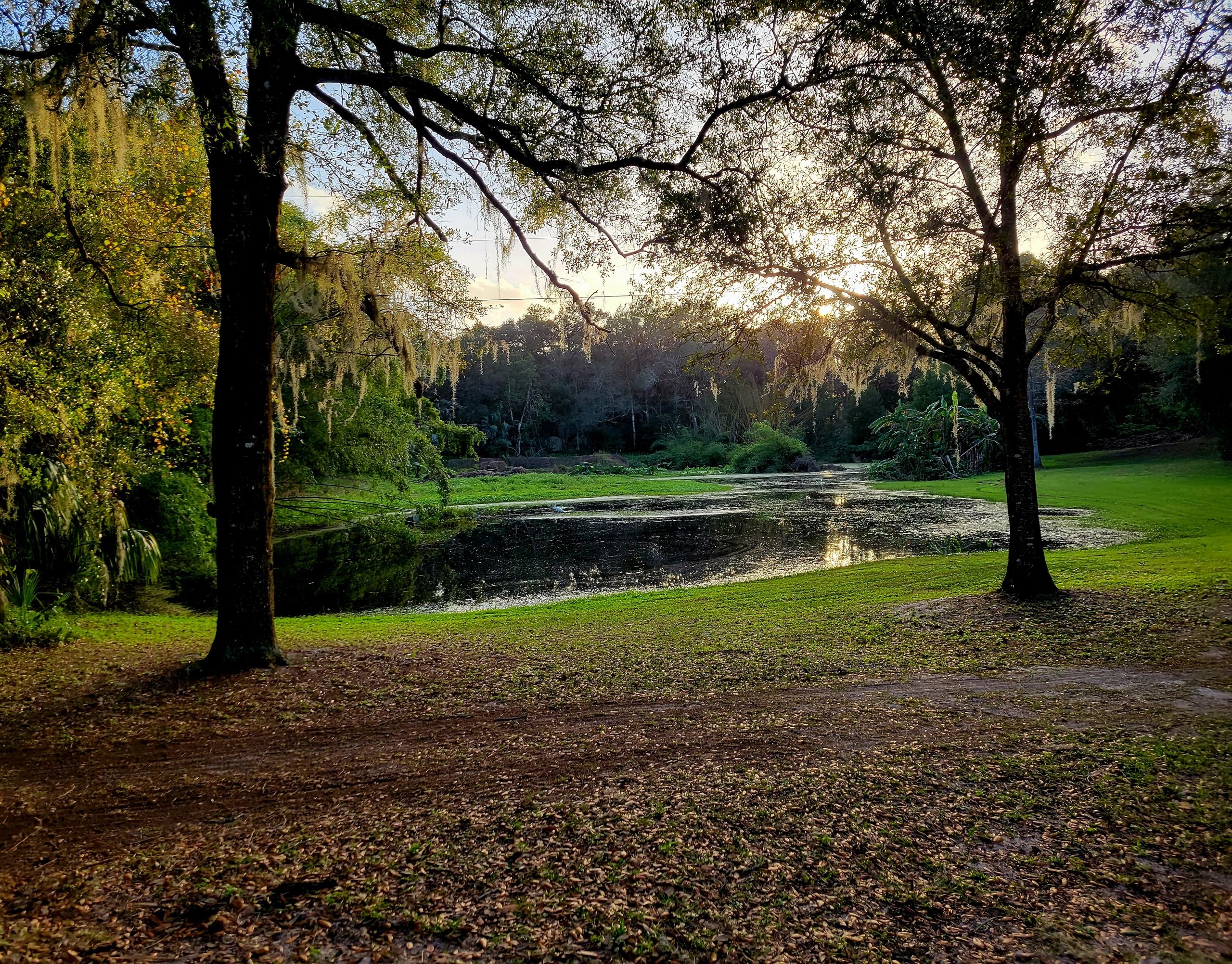 Sunny Sands Nudist Resort