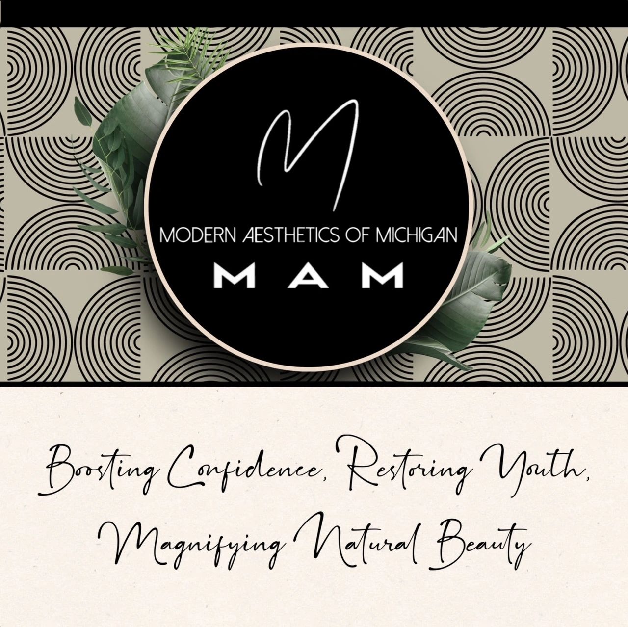 Modern Aesthetics Of Michigan