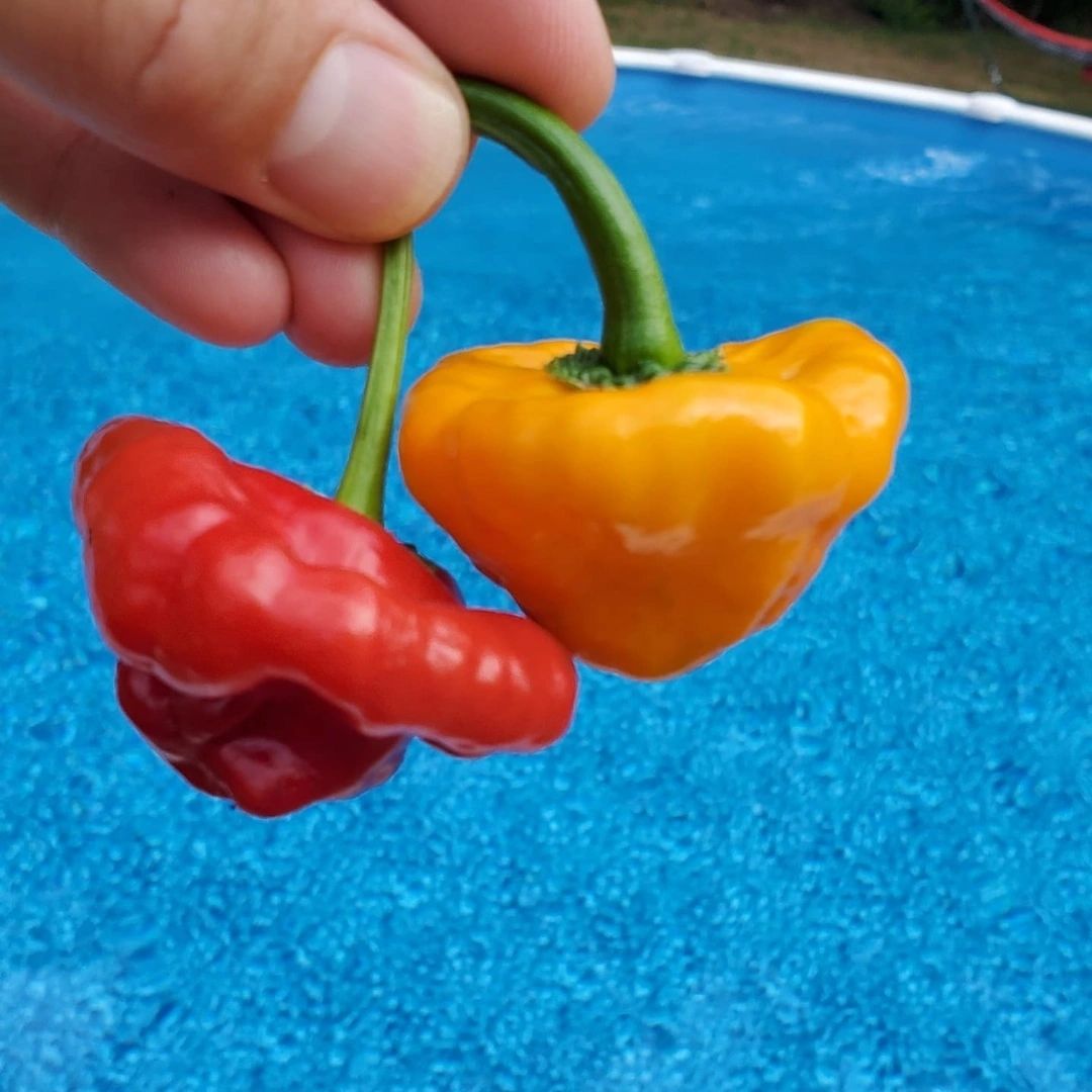 Paul's Pickle and Pepper Emporium, LLC