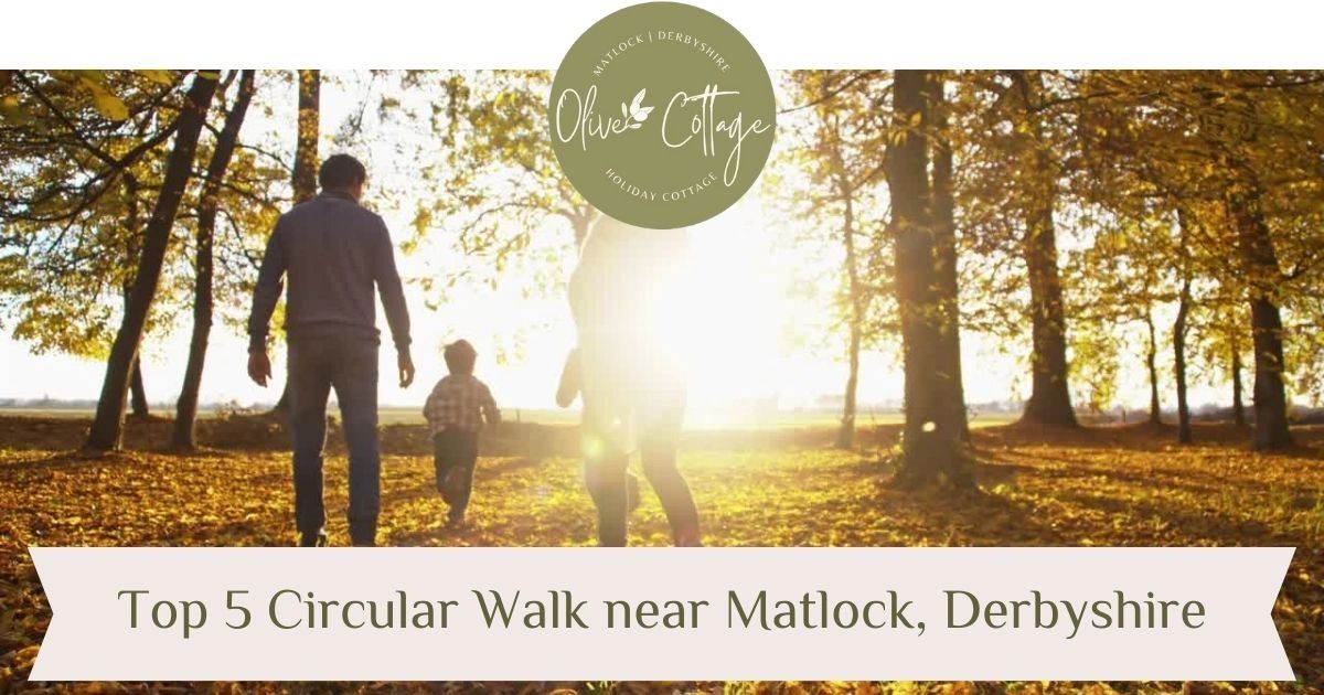 Top 5 Circular Walks Near Matlock