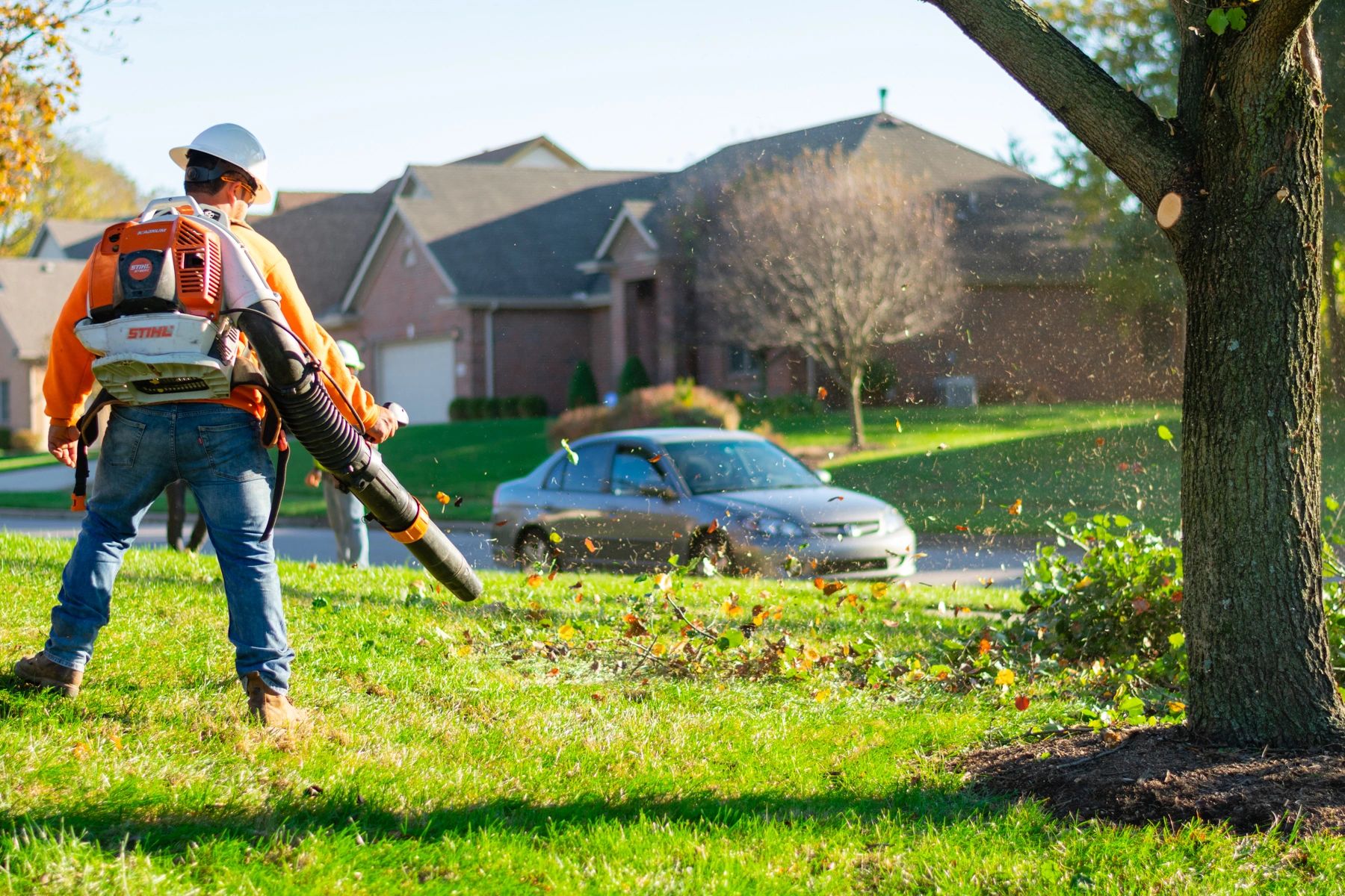 D And B Tree Services Llc