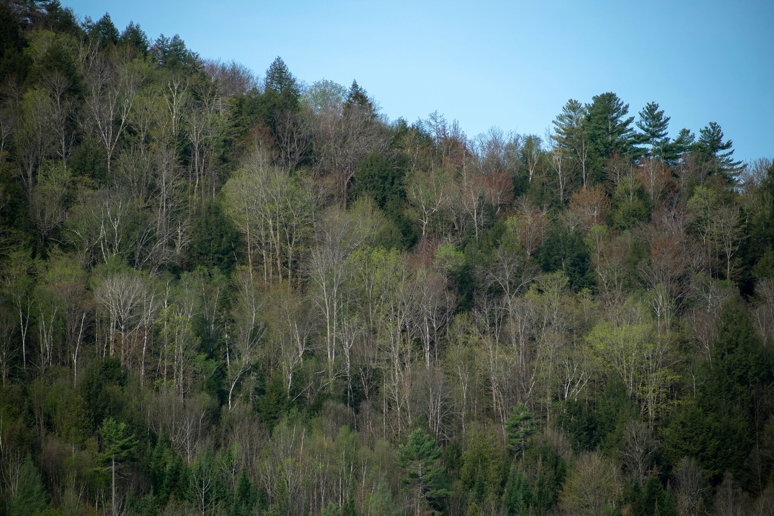 Therapy Counseling - Steve Waye Therapy