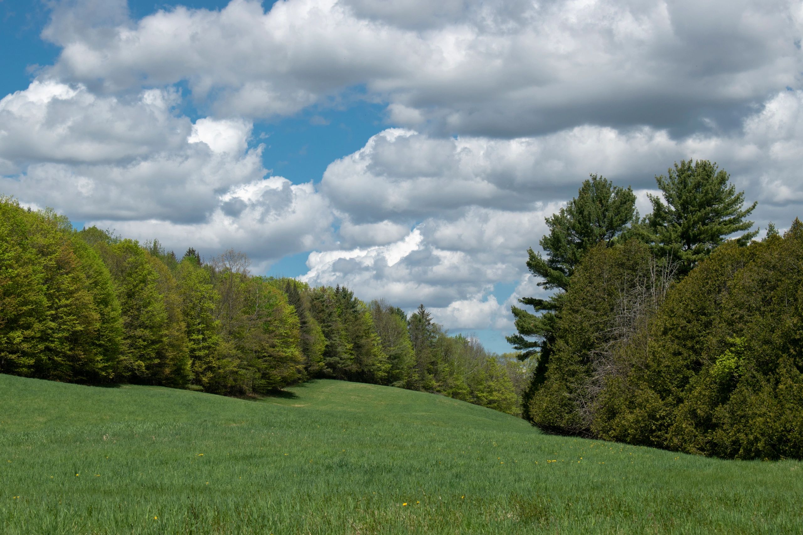 Therapy Counseling - Steve Waye Therapy