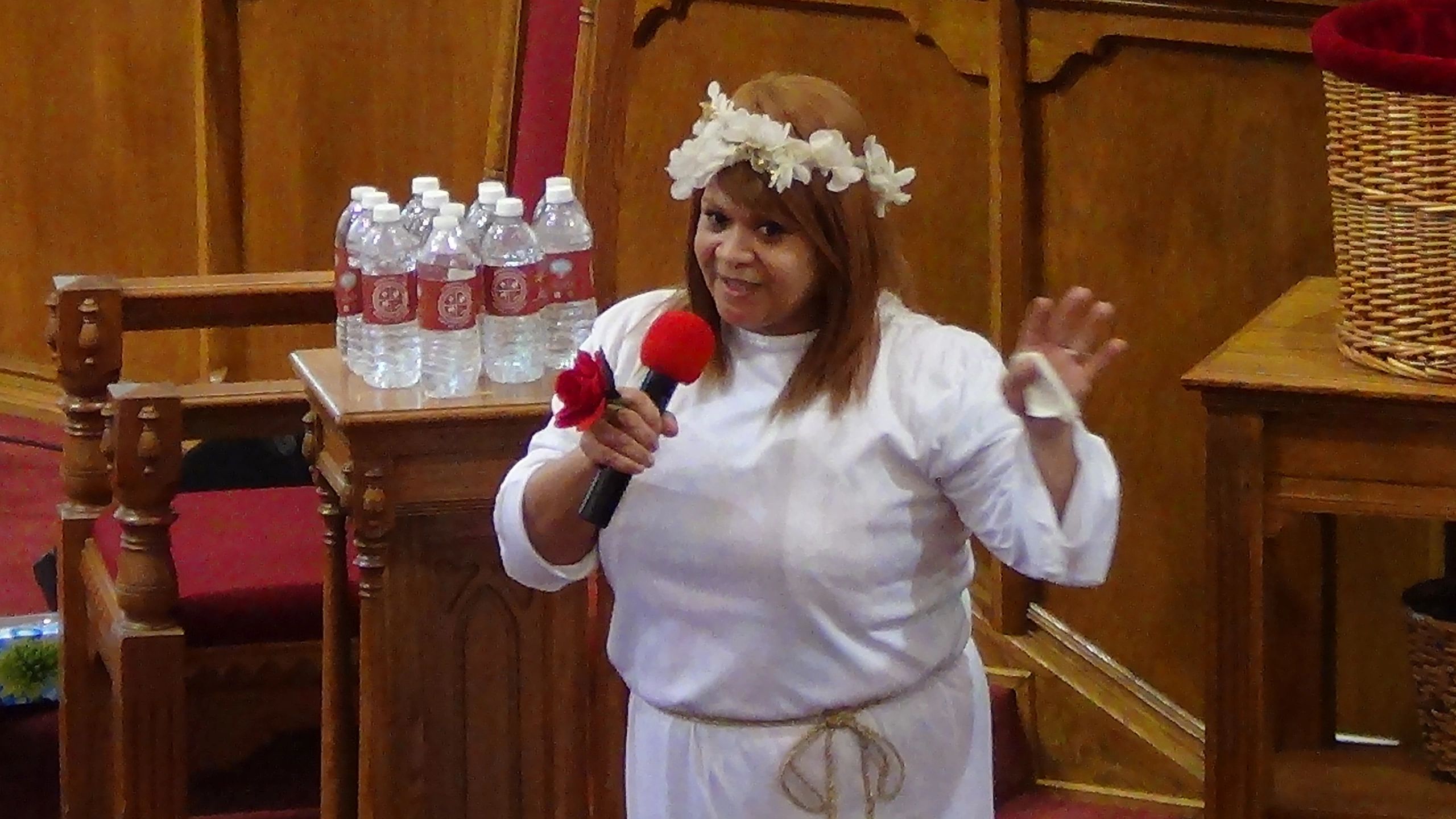 Roses and Wings Girls Mentoring Program