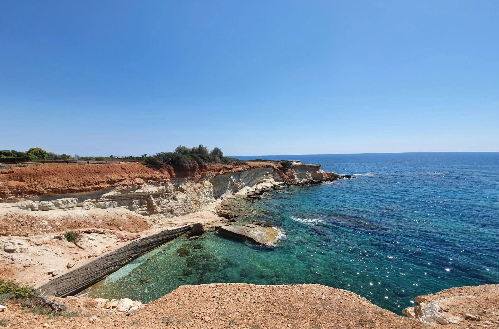 Paphos Cat Patrol | Cat Rescue