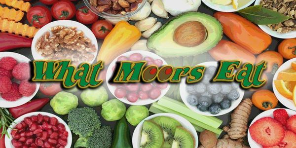 Califa Media Publishing - Books, Publishing