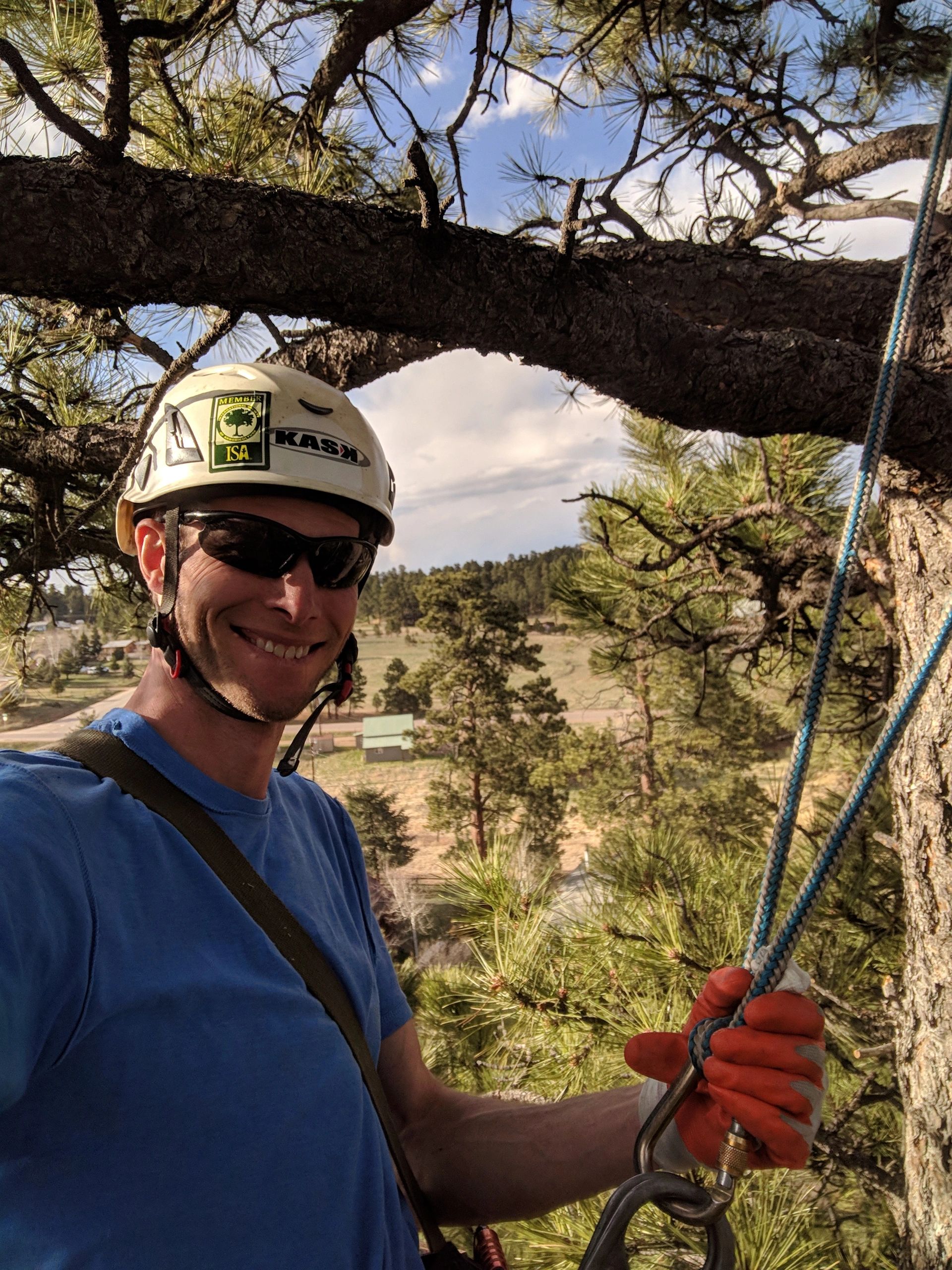 Elk Mountain Tree Services - Tree Removal, Tree Trimming