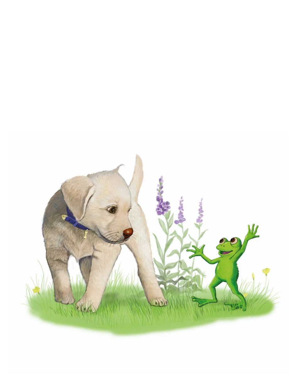 Children s Picture Book Children s Picture Book