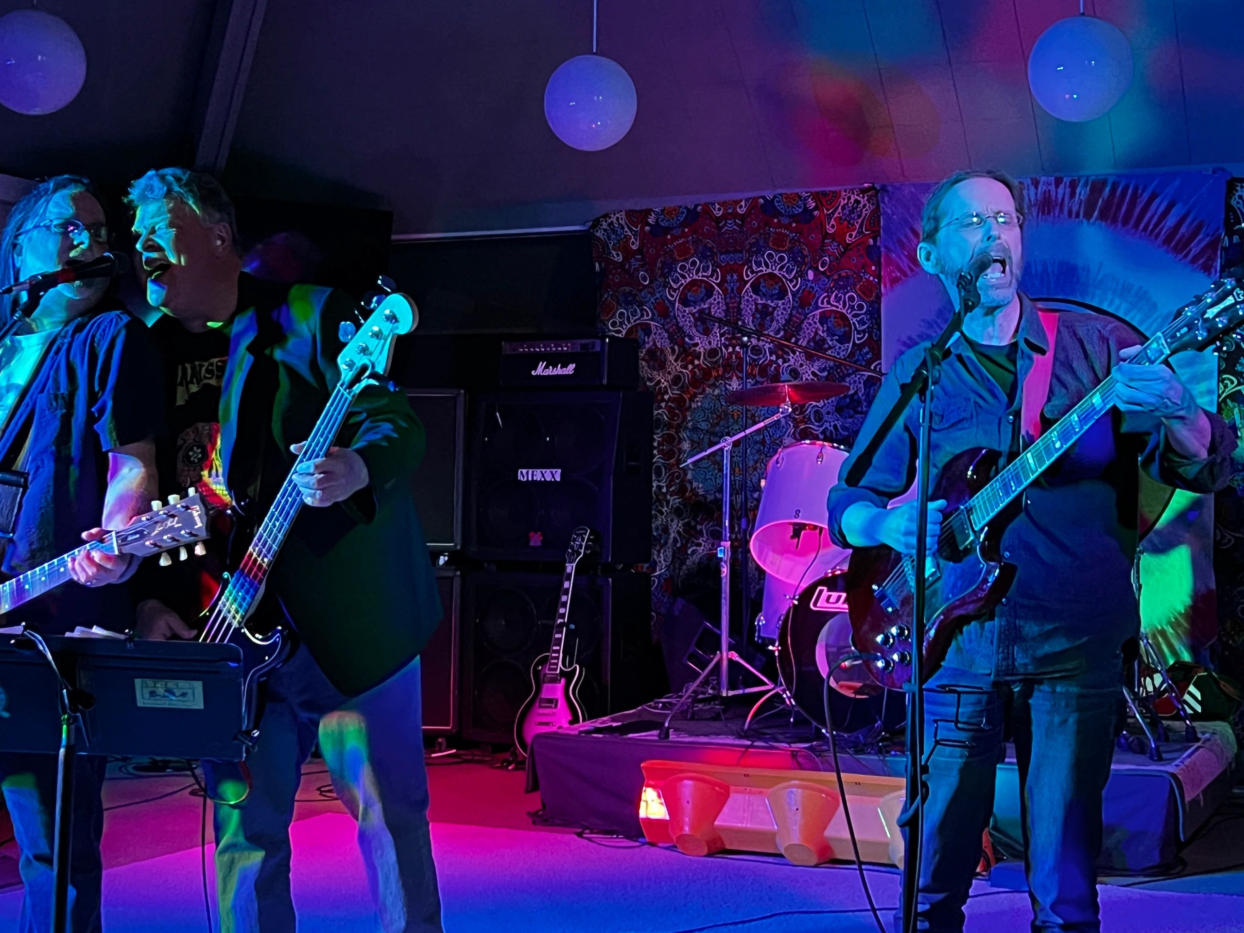 ELECTRIC SHEEP BAND