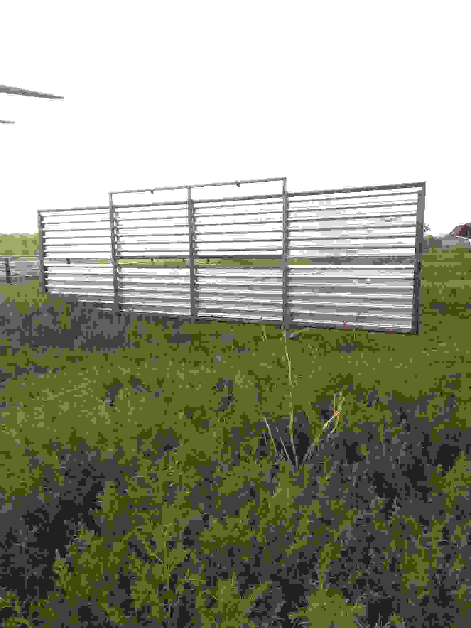 Windbreak-Shade | Split Ear Ranch Loup City, NE