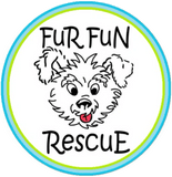 About Us | Fur Fun Rescue