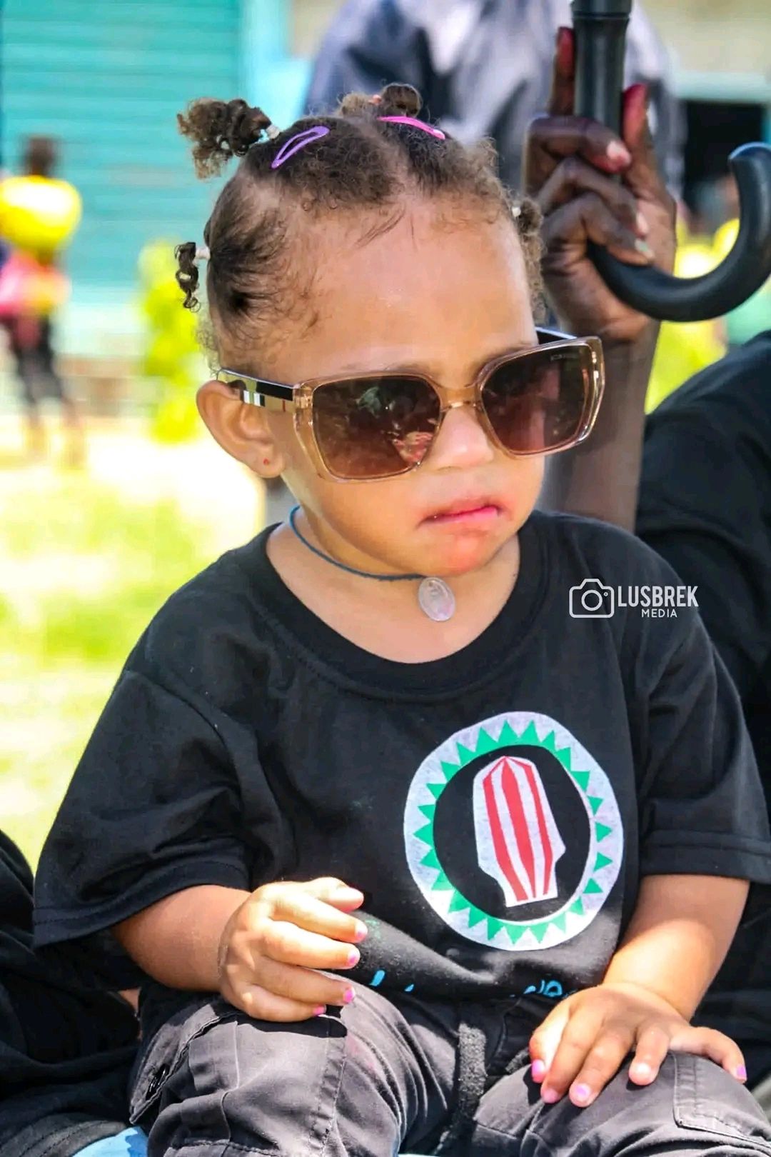 Koiari Equity Pathway | DS International Inc.