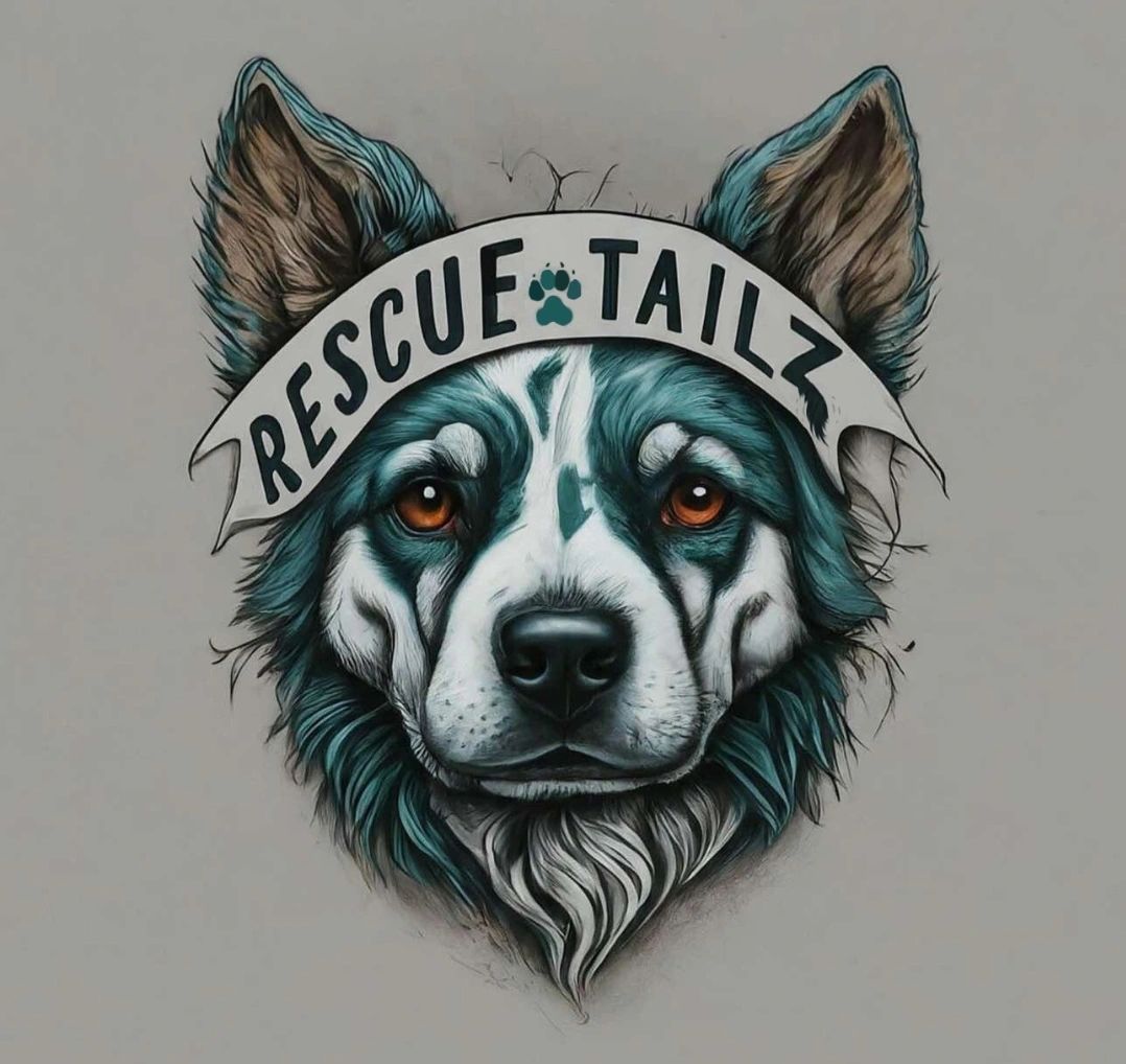 Find Your Perfect Companion at Rescuetailz.org