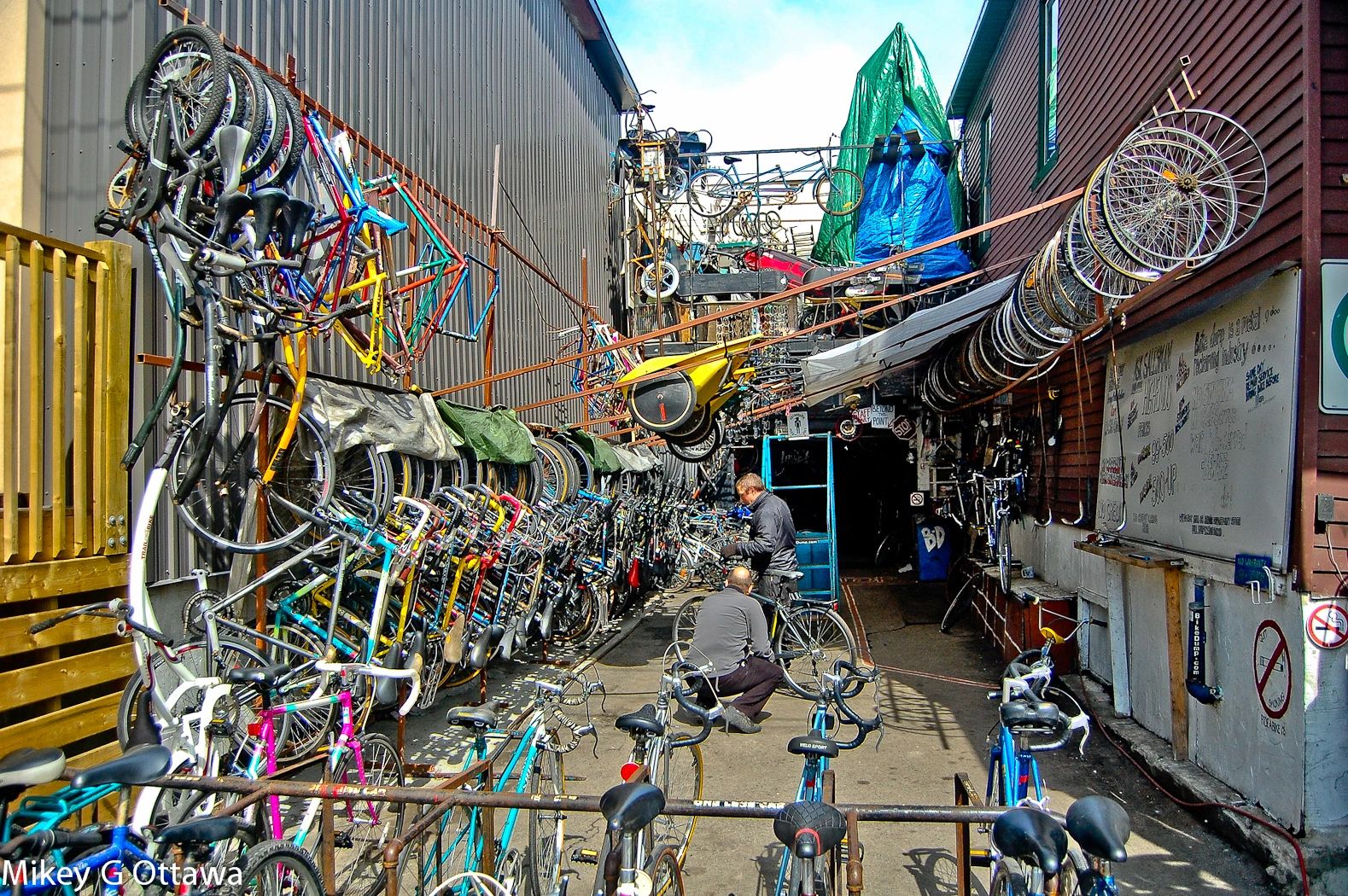 Recycled Bicycles & Parts in Ottawa, Ontario