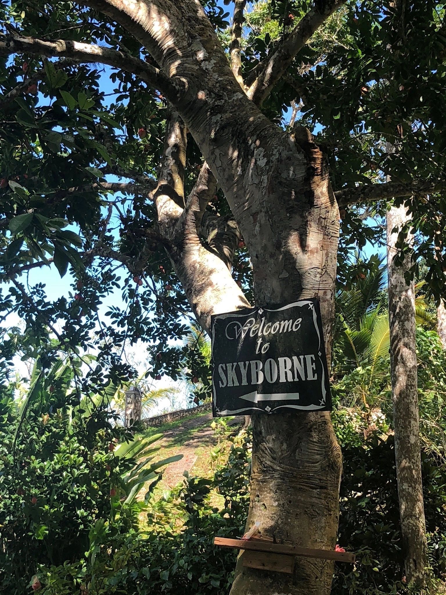 Skyborne Country House