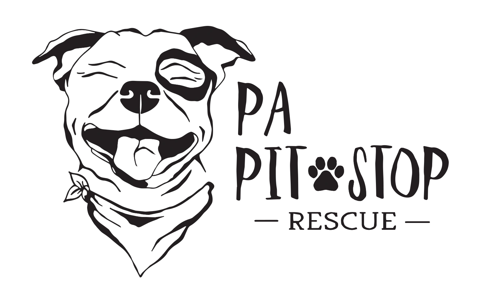 Home [papitstop.org]