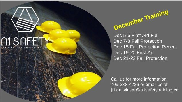 A 1 Safety Training & Consulting Ltd.