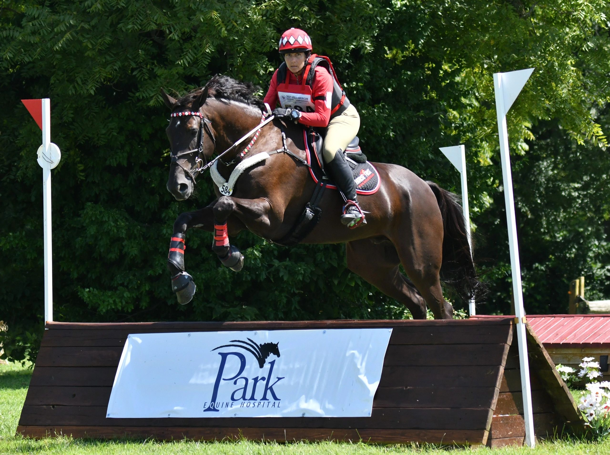 Boarding, Training, Lessons, Sales - Chesterfieldequestrian