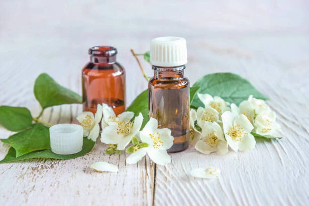 What is white tea essential oil? Uses and types of white tea esse