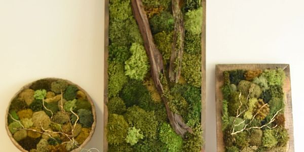 Biophilic Moss Art | Biophilic Moss Art