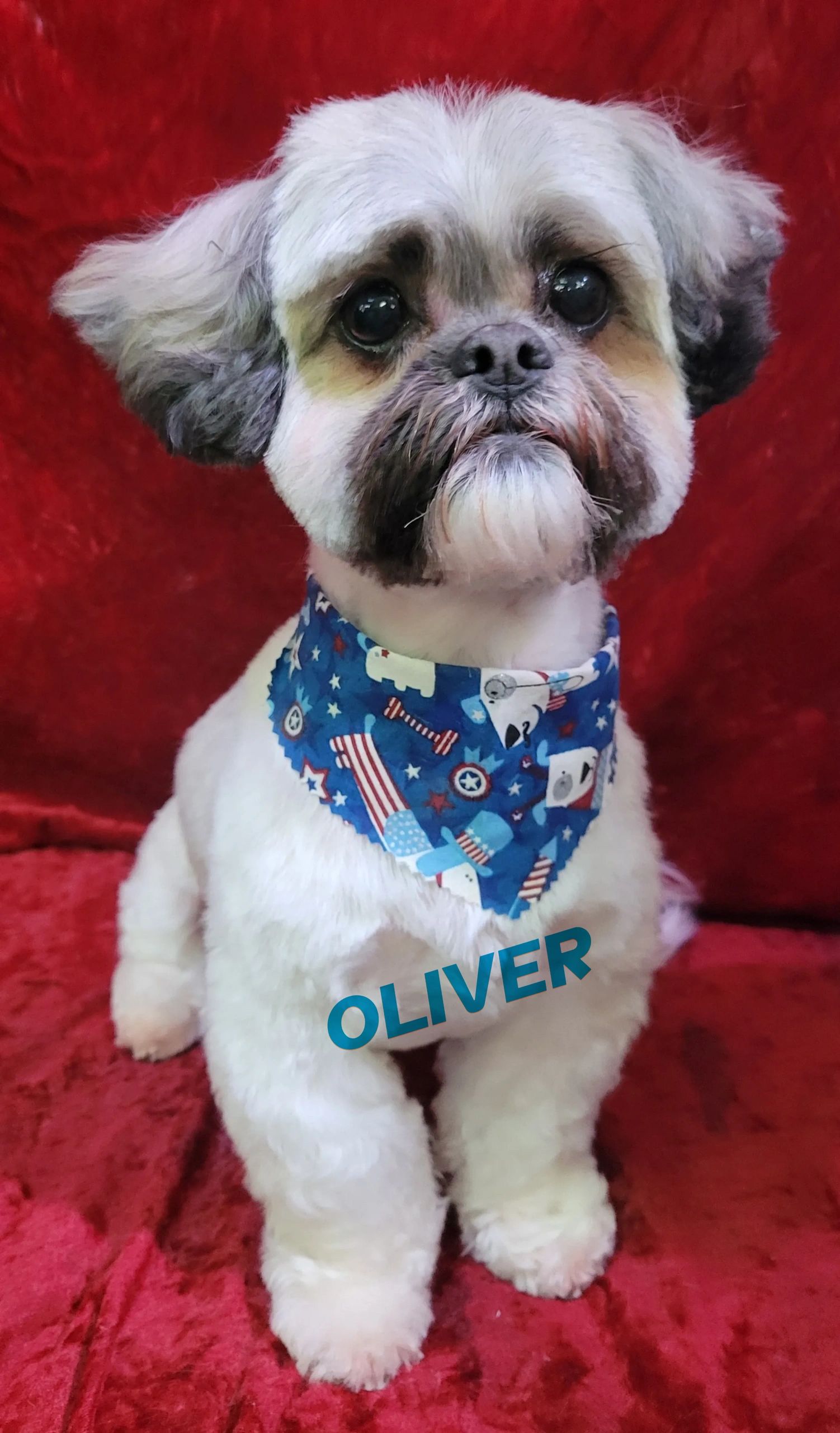 VANITYFUR PET PARLOR