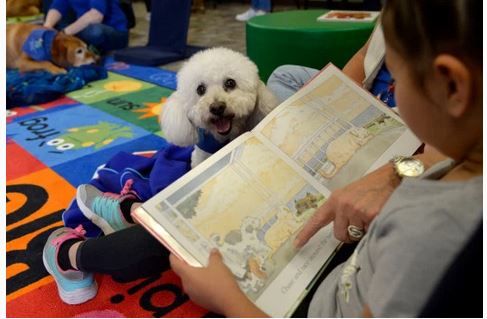 BARK Reading Therapy Dogs - Home