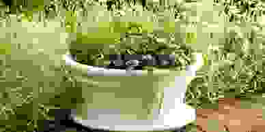 Spring Green Nurseries in Wakefield - Spring Green Nurseries