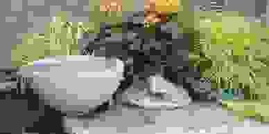 Spring Green Nurseries in Wakefield - Spring Green Nurseries