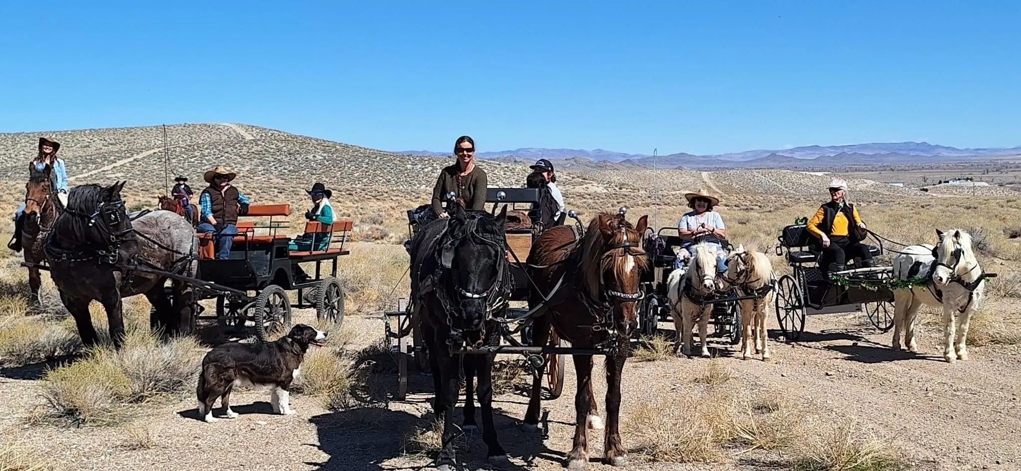 Cal Neva Driving Club