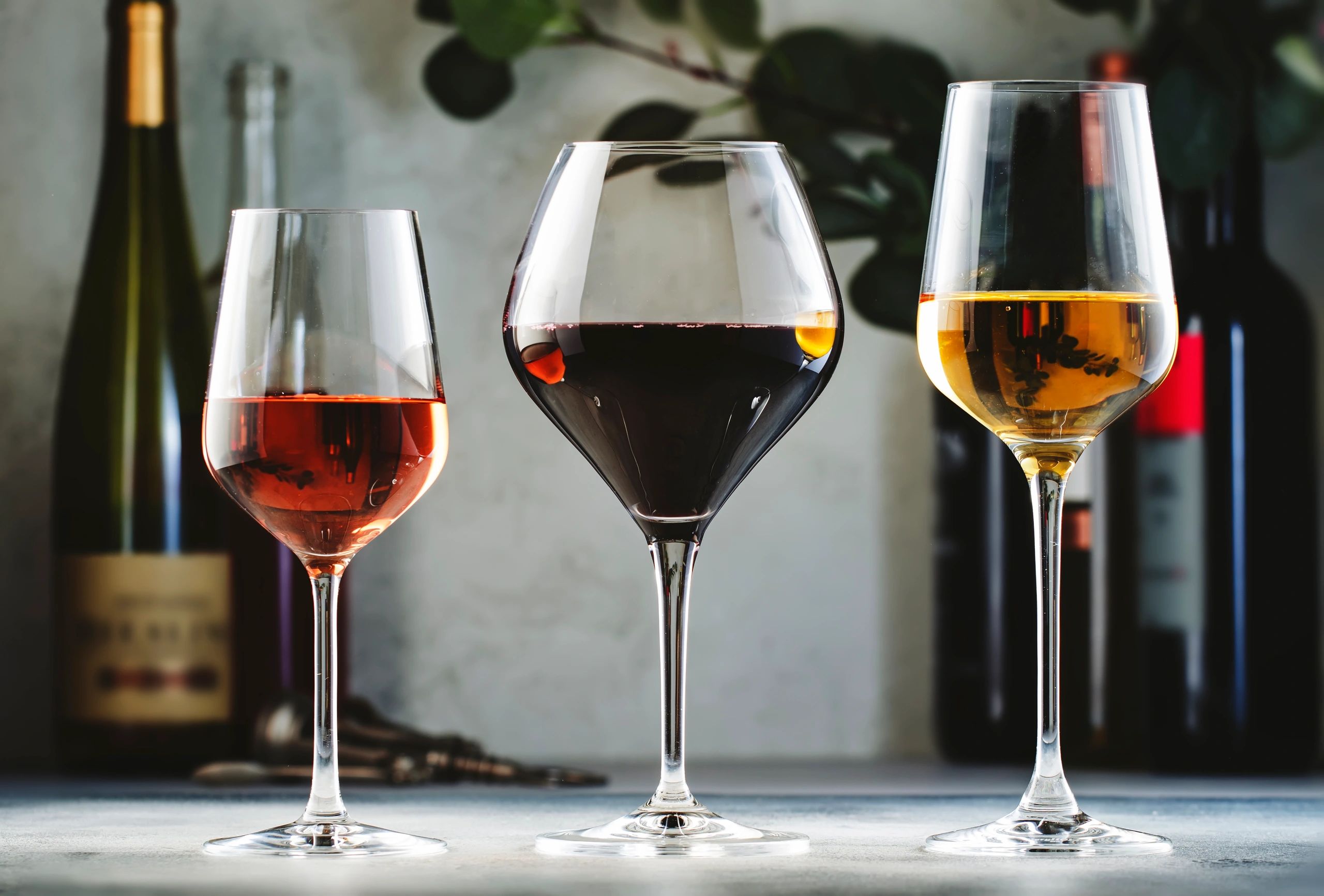 Red, White, and Rosé: A Beginners Guide to Wine Varieties