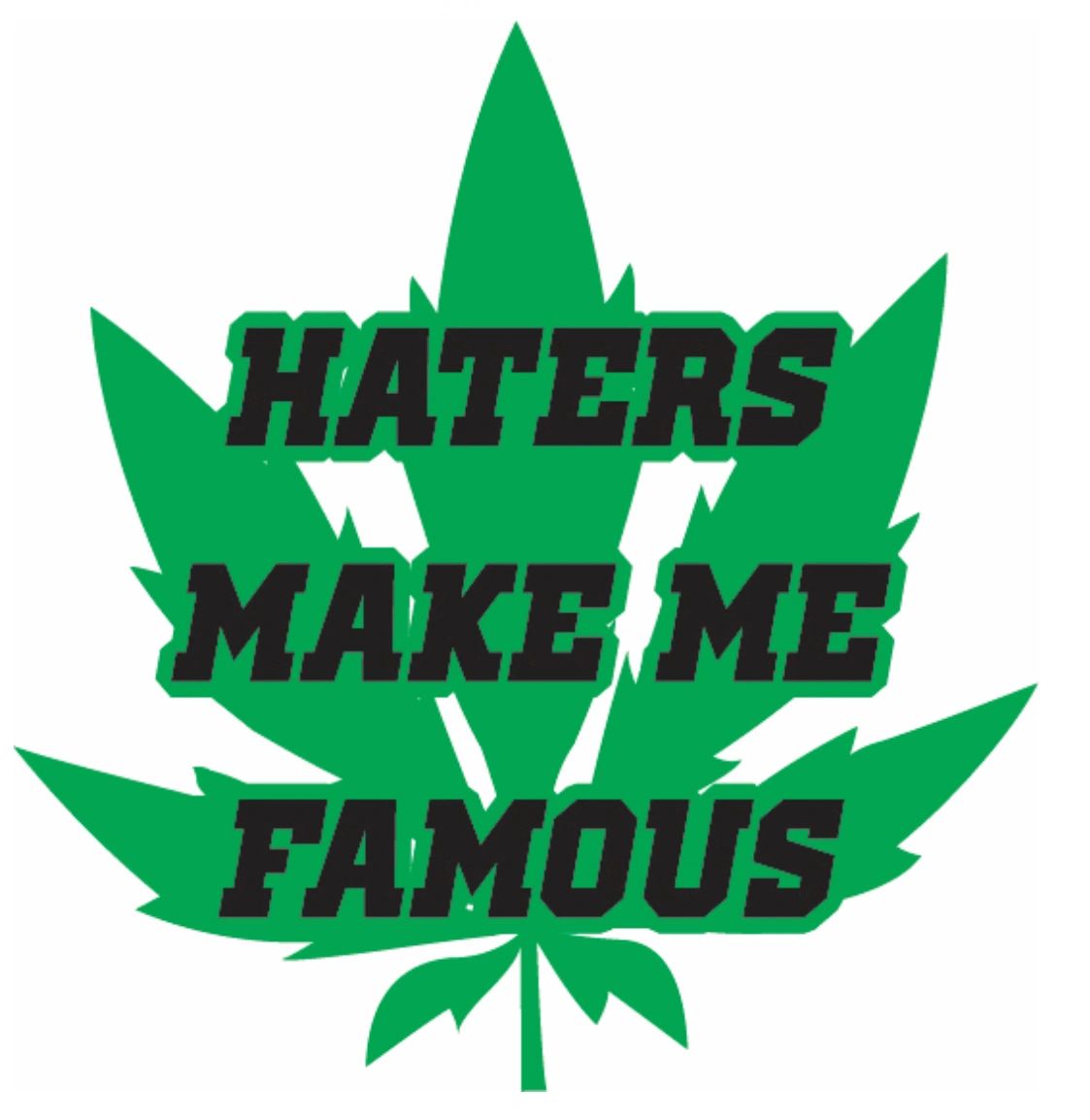Haters Make Me Famous Facebook Covers