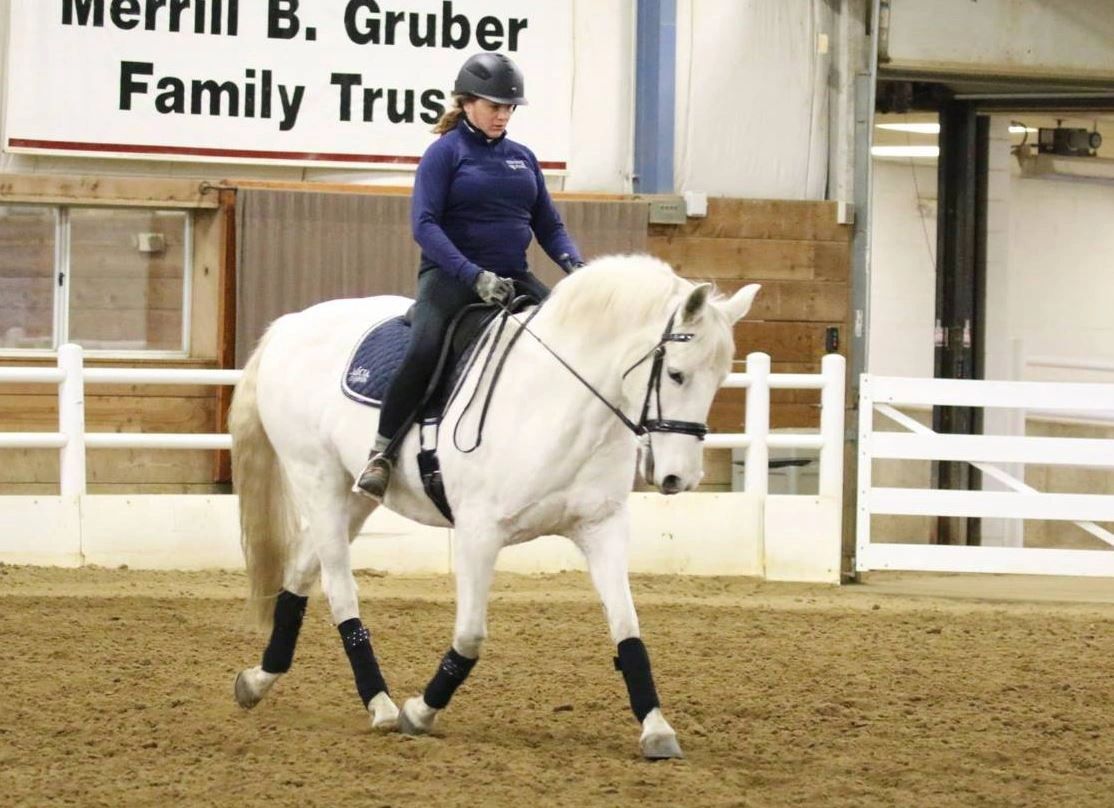 Tamarack Stables Iowa