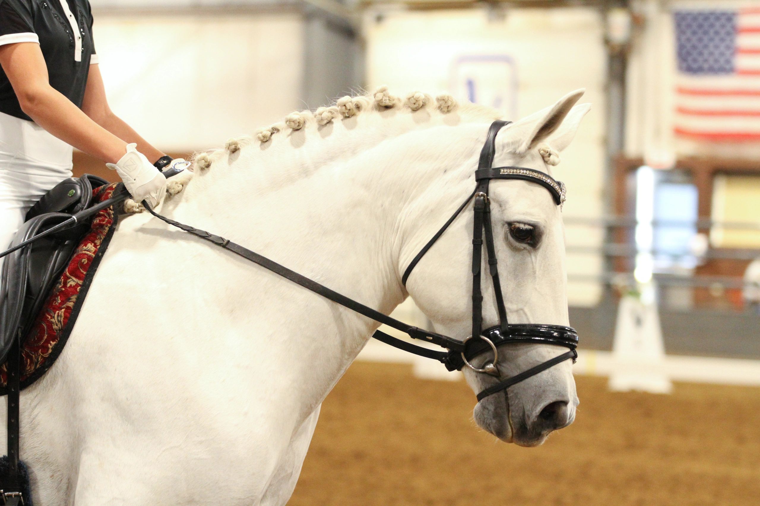 Tamarack Stables Iowa