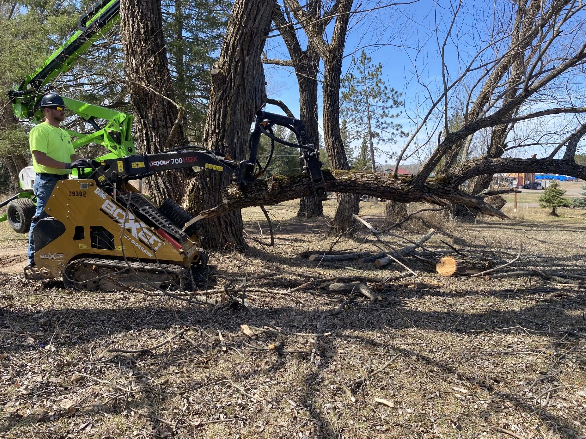 Professional Tree Removal Service - Grover Tree Experts