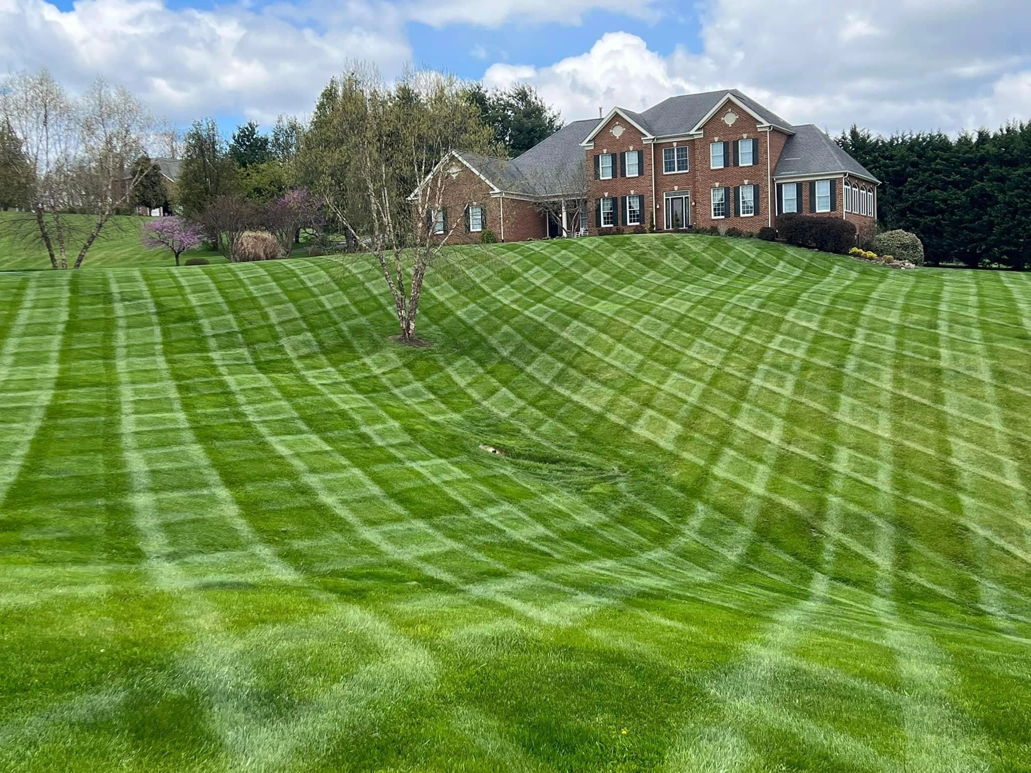 Lawn & Order: Special Mowing Unit of Prospect