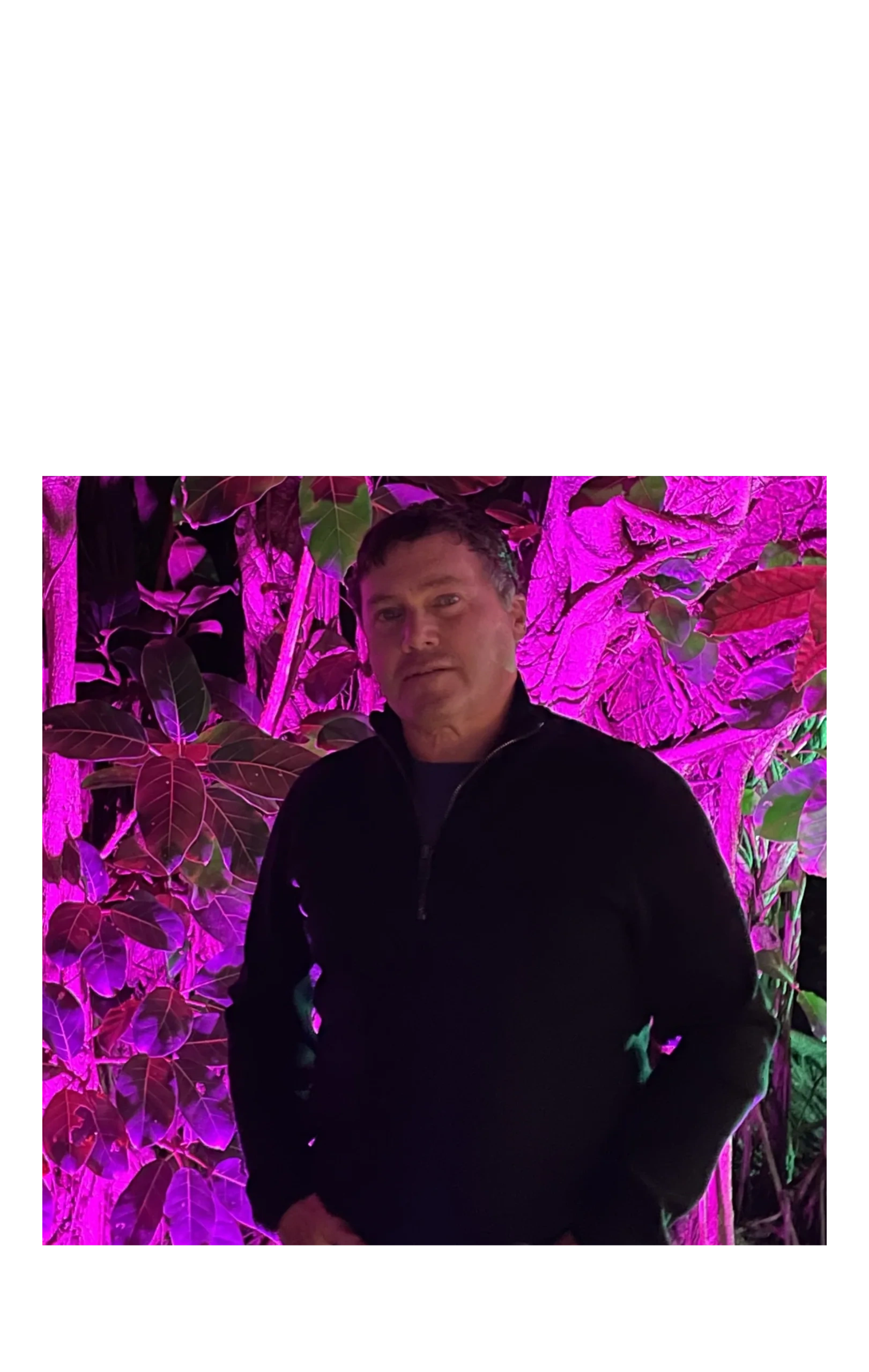 Michael Wendroff, Author