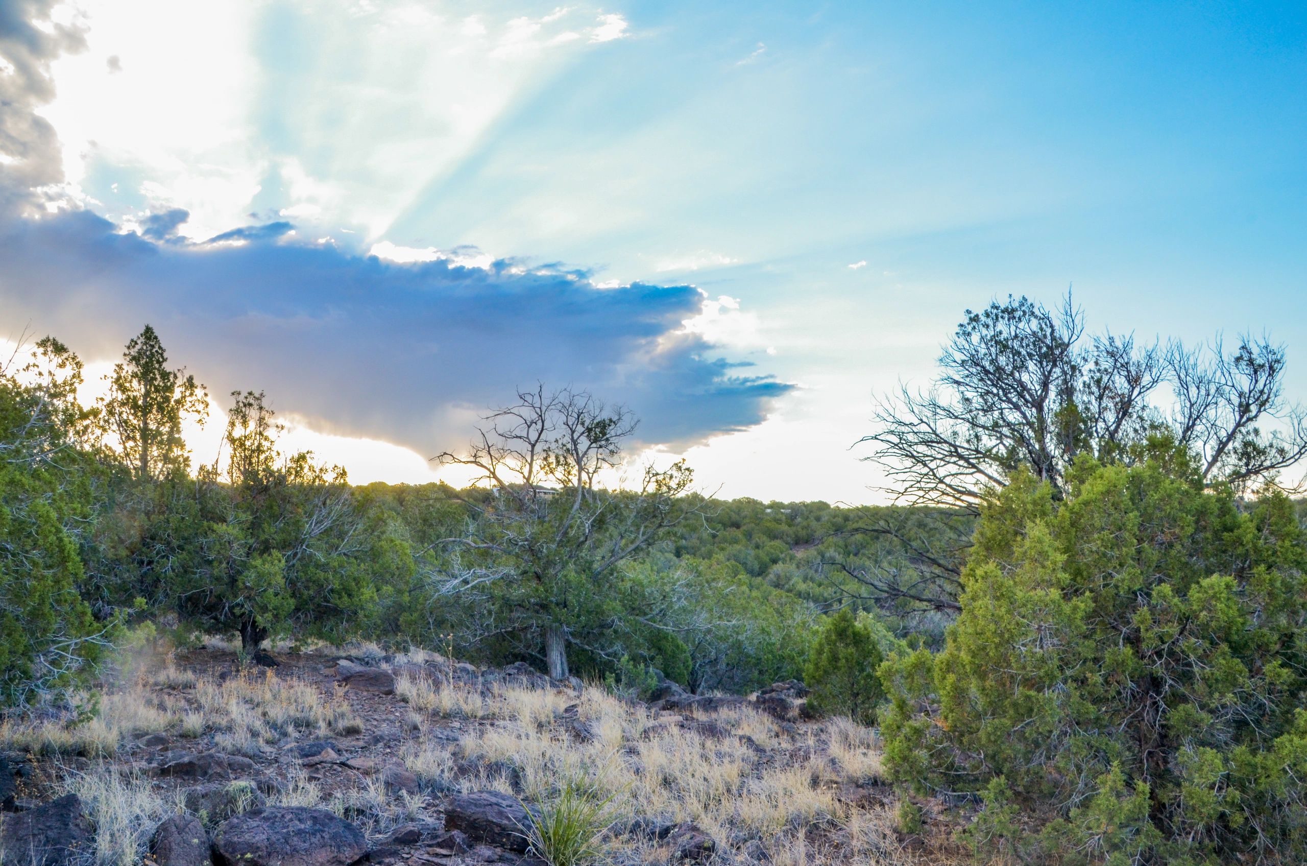 Living on your new owned raw land!