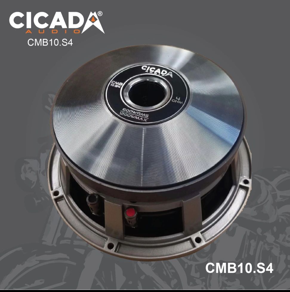 CMB10.S4