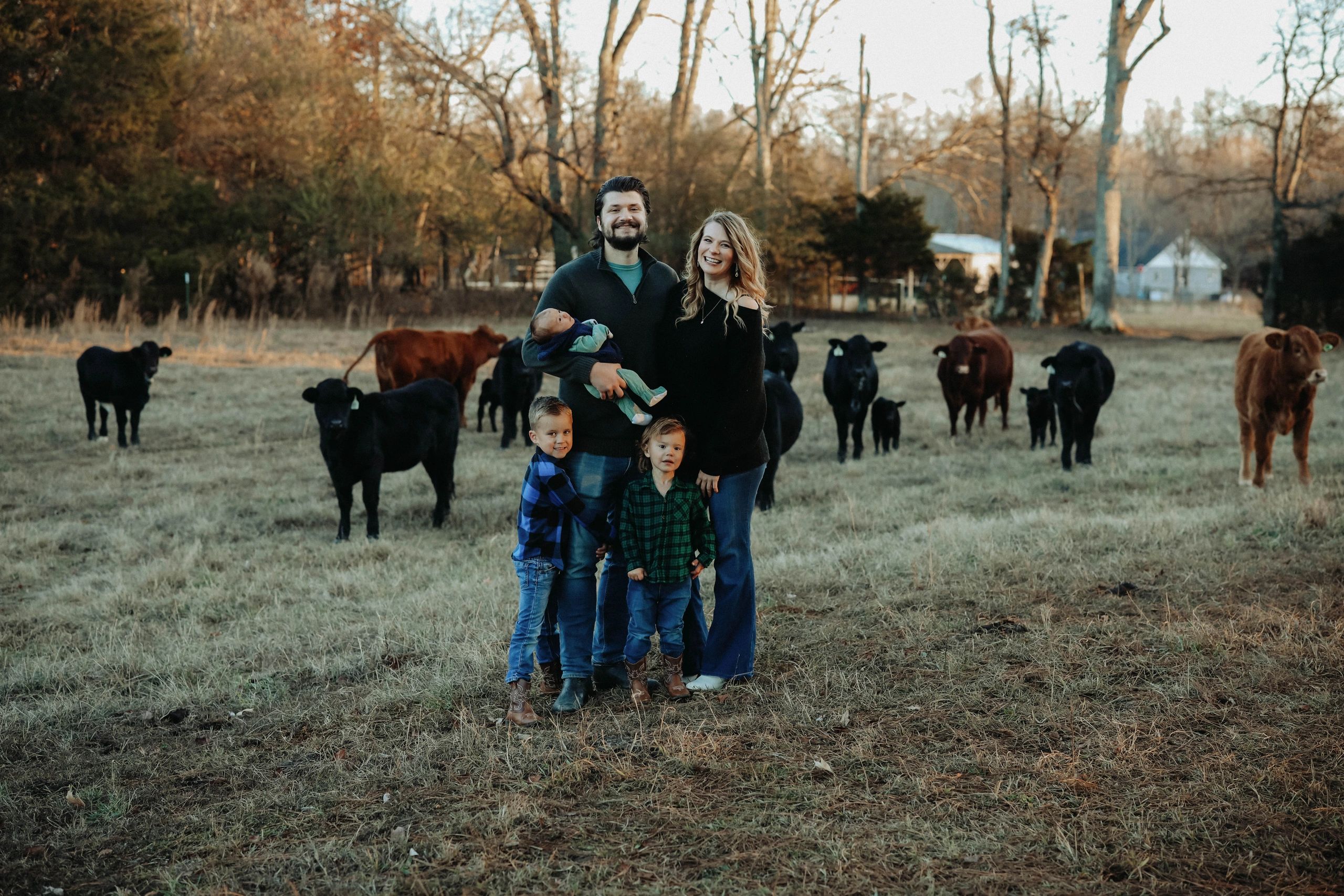 High quality, grass fed beef at Laid Back Acres.