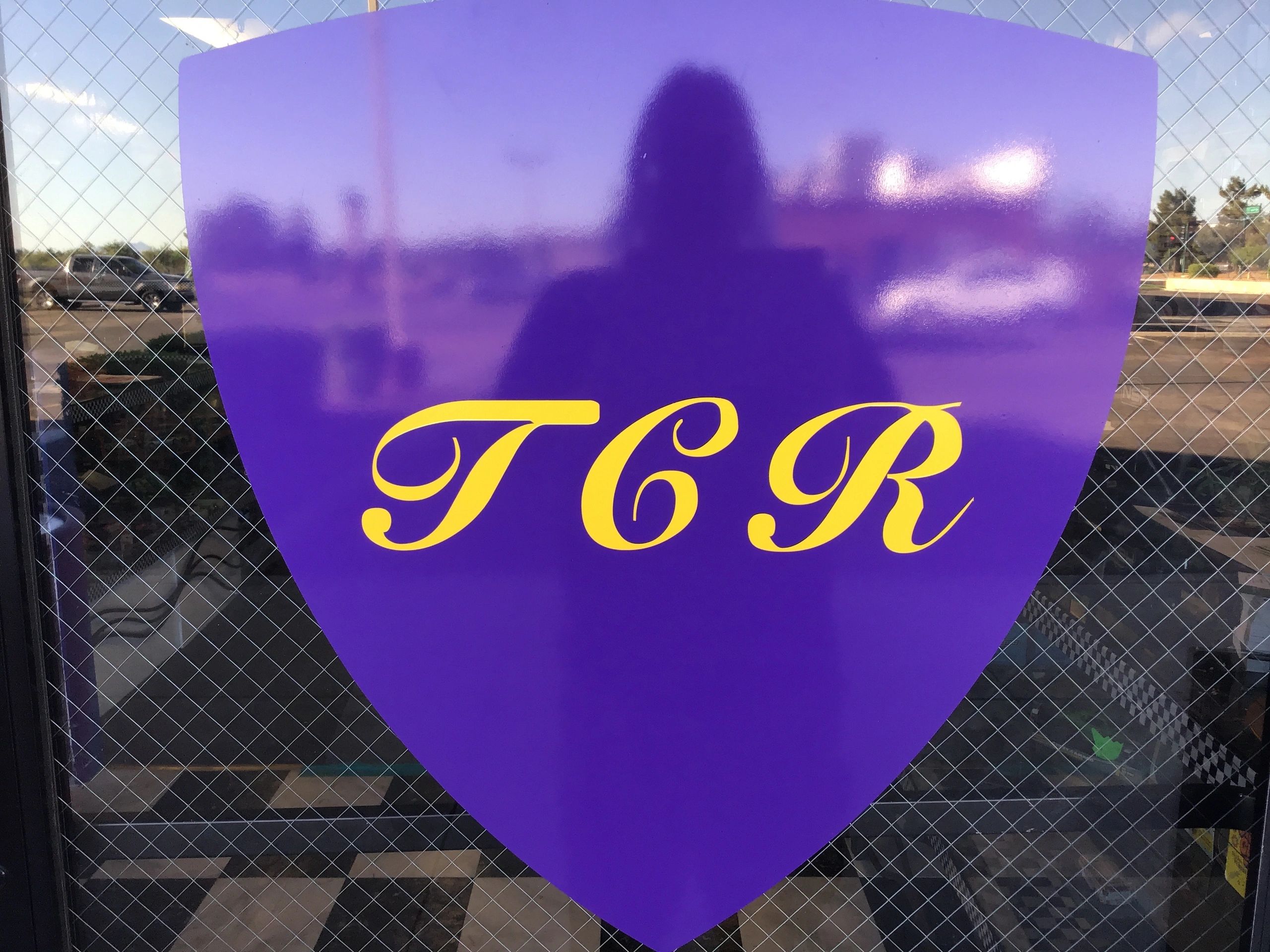 Total Control SlotCar Racing