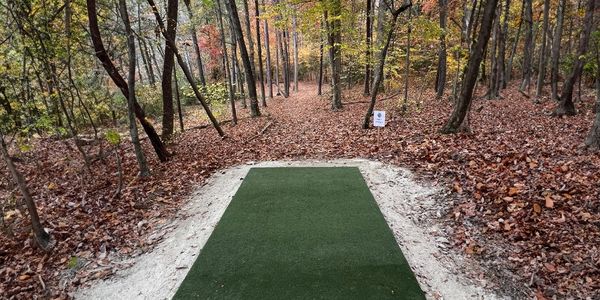 Disc Golf Country Club - Acorn Hill